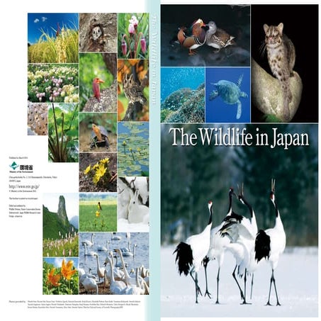The Wildlife in Japan.pdf