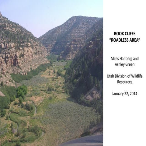 Book Cliffs Roadless Area | PDF