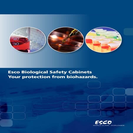Esco Biological Safety Cabinet Catalog | PDF