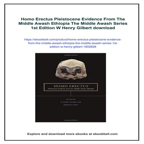 Homo Erectus Pleistocene Evidence From The Middle Awash Ethiopia The ...