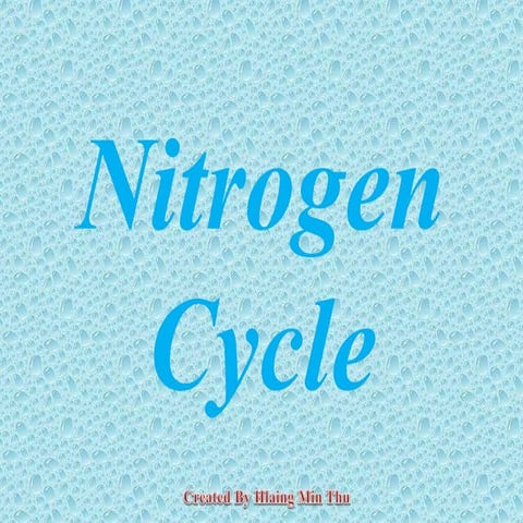 01_Nitrogen Cycle | PPTX
