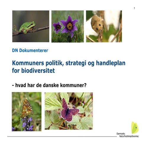 Præsentation_Kommuners-strategi-handleplan-biodiv | PPT