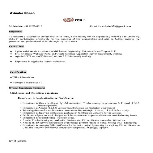 Avinaba resume New 16 | DOCX