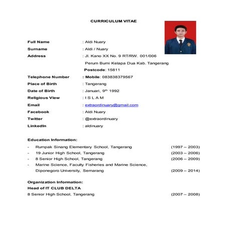 CV Aldi | PDF