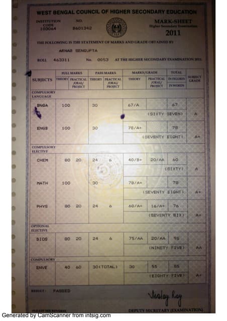 B. Sc. final year result | PDF