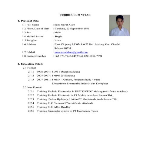 Curriculum Vitae Engineer | PDF