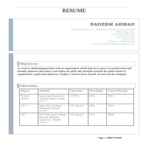 RESUME nadeem | PDF