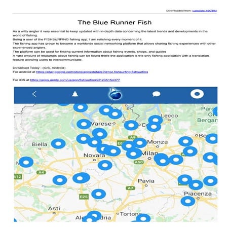 The Blue Runner Fish | PDF