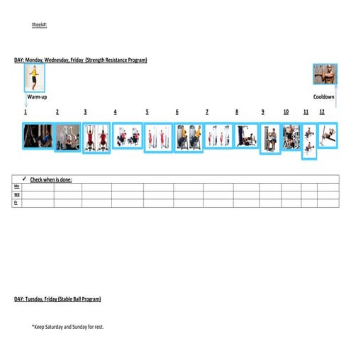 Example of a personal program check list by Grishin | PDF