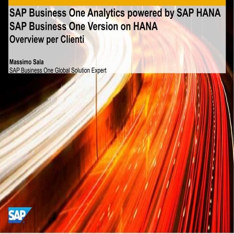 SAP Business One 9.0 B1A & B1H overview per Clienti - Luglio 2013 ...