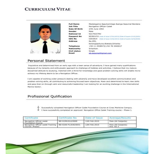 Professional cv pdf | PDF
