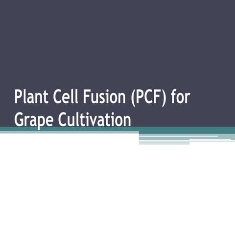 Amino Acid Plant Nutrient for grape_v1 | PPT
