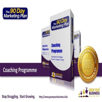 90 day marketing plan | PDF