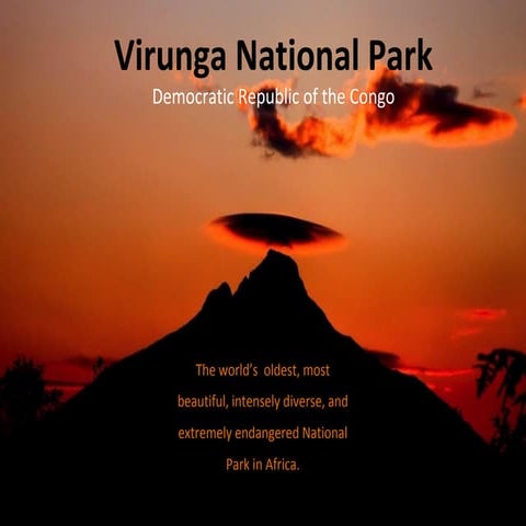 Elephant project | PDF