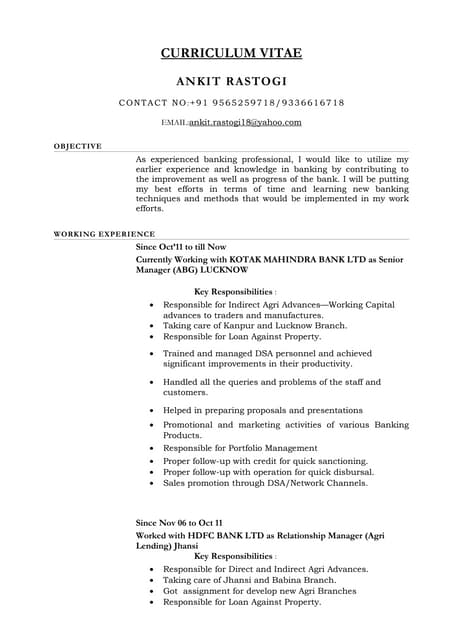 Ankit New Cv Pdf