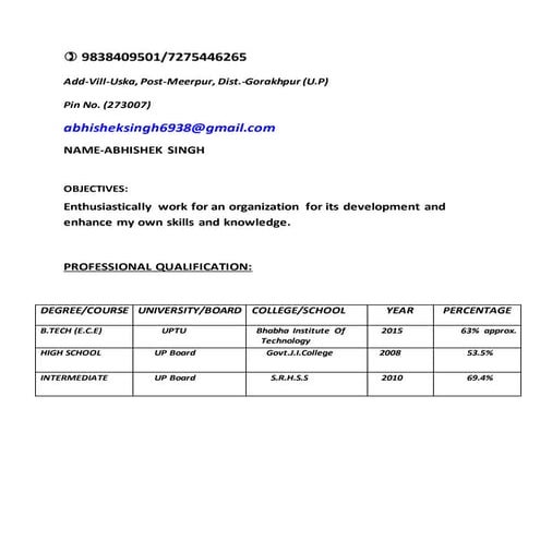 Abhishek Singh Resume PLC | DOCX