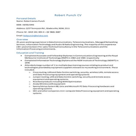 CV Robert Punch 12-Feb-2016 | DOCX | Computer Networking | Computing