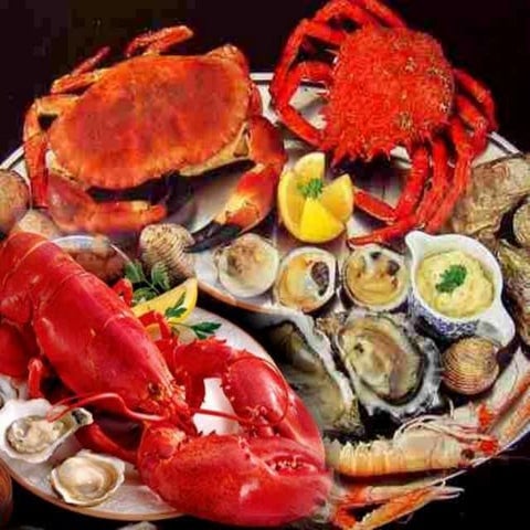 91418058-New-Ppt-of-Seafood (1).pptx