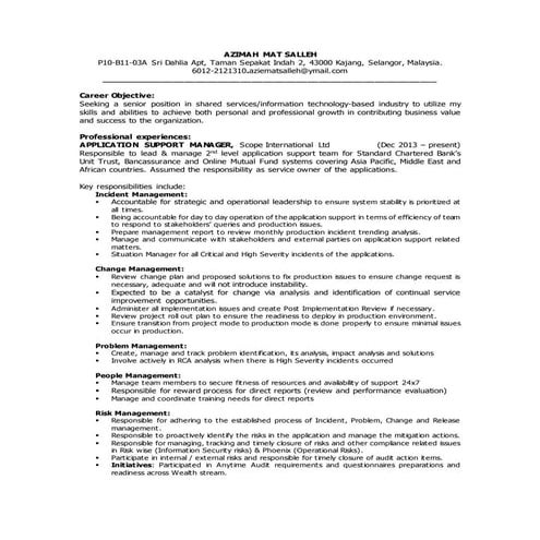 AMS_CV_2016 | DOCX | Computing | Technology & Computing