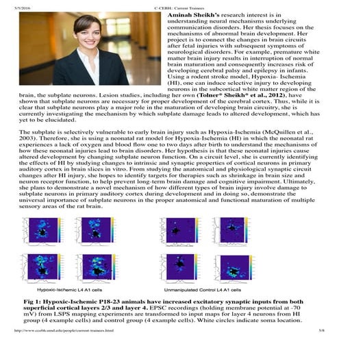 Lecture1: Molecular Neuroscience Across Species | PDF