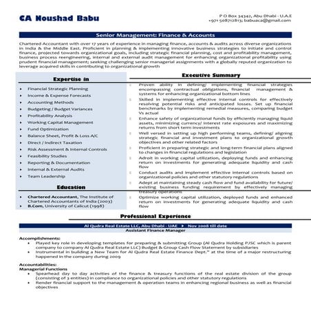 CA Noushad Babu Resume | PDF