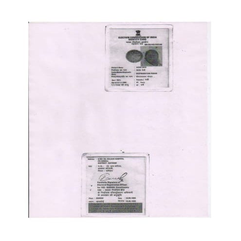 Identity Proof of Widow Asha Rani Devi | PDF