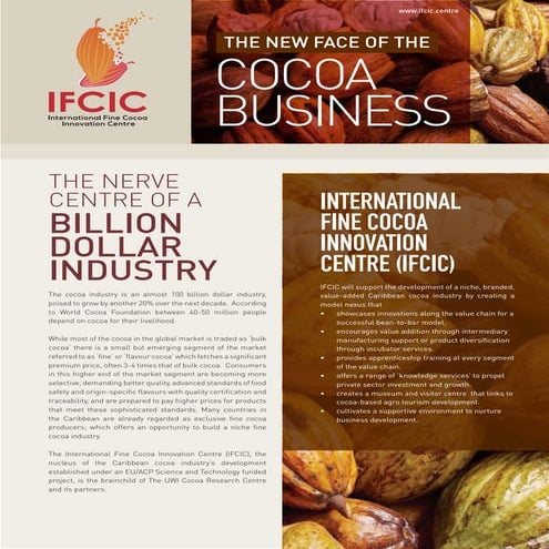 IFCIC Brochure | PDF