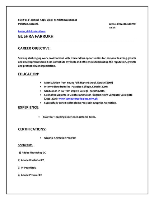 Muhammad Hamza Raza CV.pdf