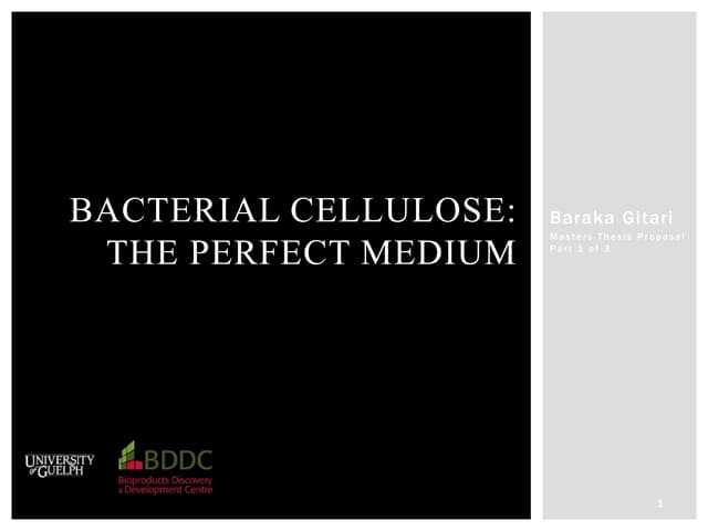 Bacterial Cellulose presentation | PPTX