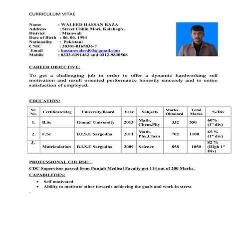 waleed cv | DOC