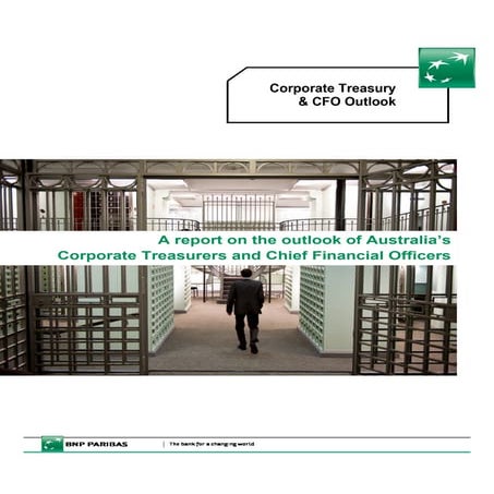 Whitepaper-CIB-CFO-Corporate-Treasury-2014-FINAL | PDF