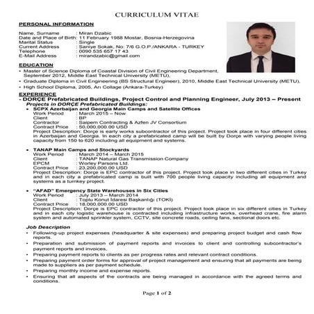 Yasar Ayaz CV | DOCX