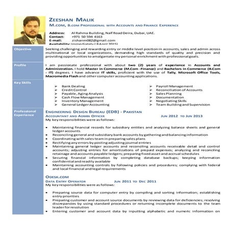 Zeeshan Malik Resume | DOCX