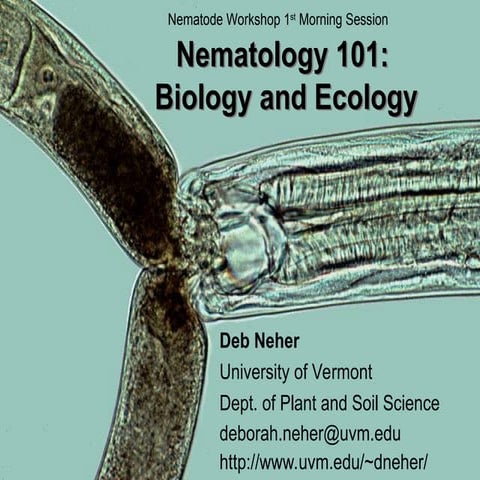 9247872-nematode-biology-and-ecology-slides.ppt