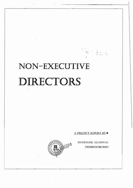 Non Executive Director Roles | PDF