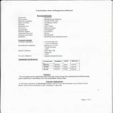 SMALL CV | PDF