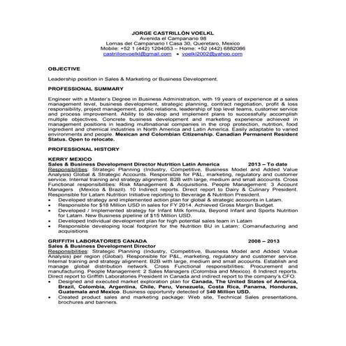 CV JORGE CASTRILLON ENGLISH | PDF