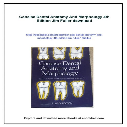 Concise Dental Anatomy And Morphology 4th Edition Jim Fuller | PDF