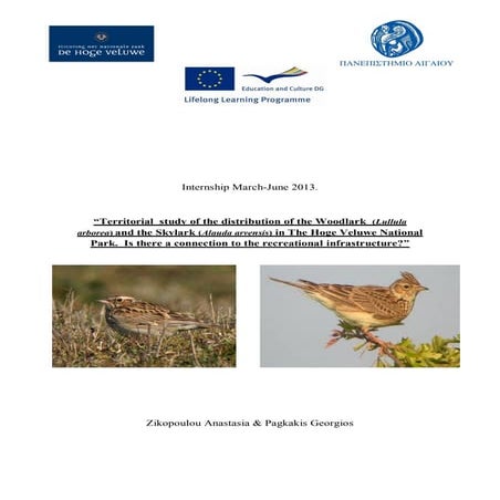 Territorial-study-of-the-distribution-of-the-Woodlark-Lullula-arborea ...