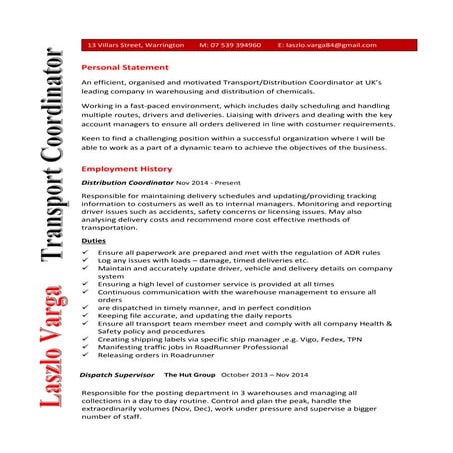 CV Laszlo Varga | PDF