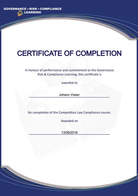 Risk Advisory - Forensics | PDF