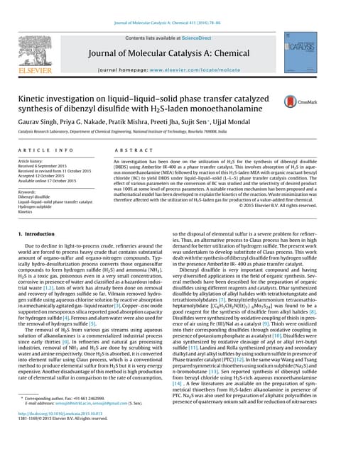 Saipem vs Stamicarbon ppt.pptx