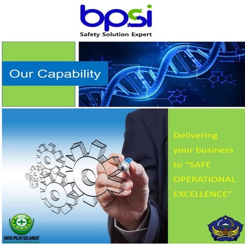 New Company Profile - BPSI (revised) | PDF