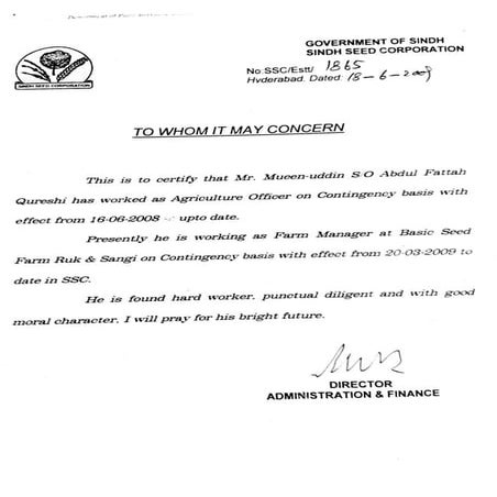 Catering chef experience letter