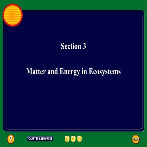 Chapter 9.3: Matter and Energy in Ecosystems | PPT