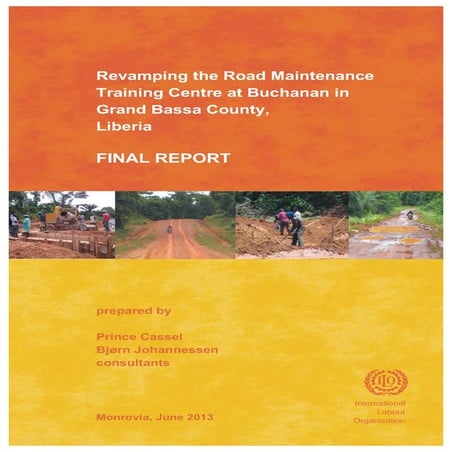PATH Informational Brochure | PDF