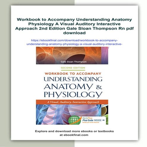 Workbook to Accompany Understanding Anatomy Physiology A Visual ...