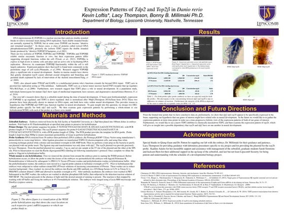 Molecular Biology Lab Poster | PDF