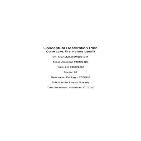 ConceptualRestorationPlanFinal | PDF
