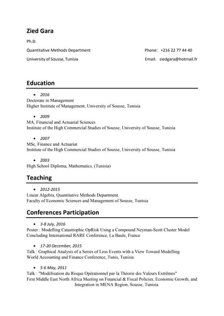 CV_SAMI BEN AMOR | PDF